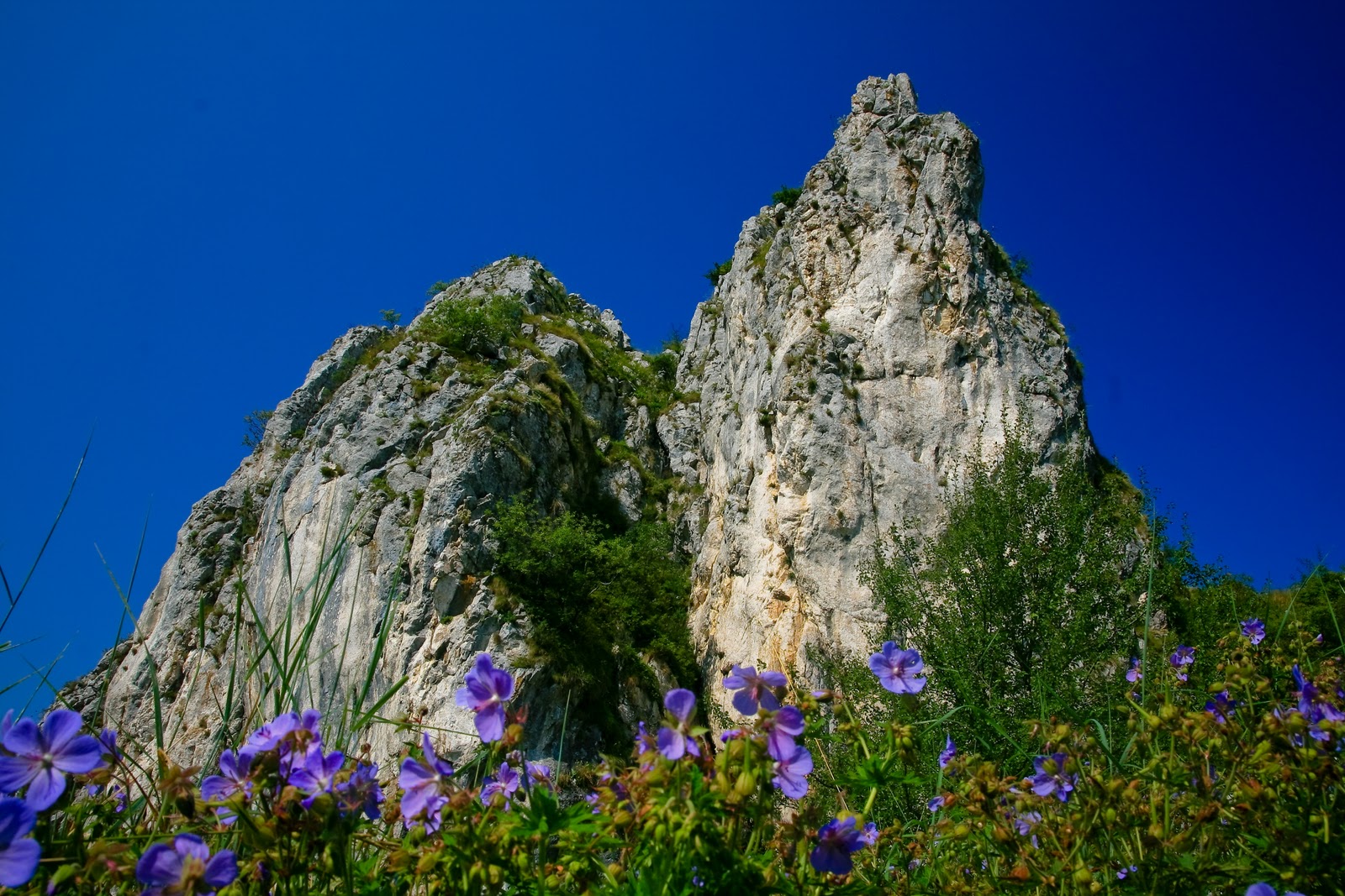 Jaros Fotó: Erdélyi képek