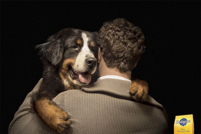 Creative ads with dogs - 33 Pics | Curious, Funny Photos / Pictures