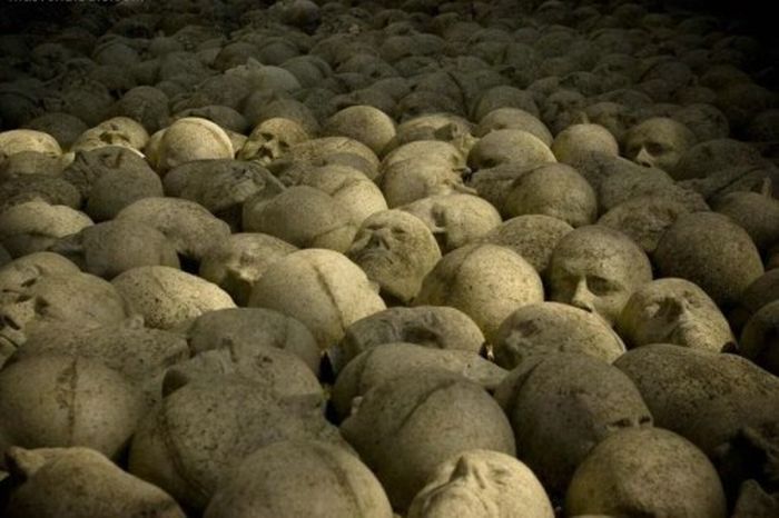 Real Life Patterns | LOL PICTURE GALLERY