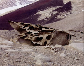 cspgeography: Extreme Landscapes: Desert Landforms