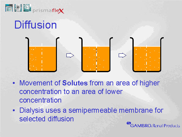 DIFUSI, OSMOSIS, IMBIBISI, DAN PERMEABILITAS MEMBRAN | AMIN TABIN