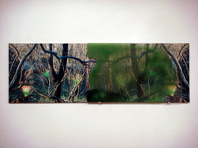 henry street designs: Janet Laurence - my favourite artist