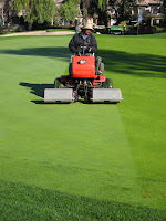 Valencia Country Club Golf Course Maintenance: Verticutting and Topdressing