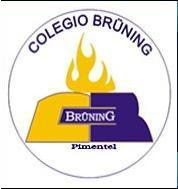 COLEGIO BRUNING
