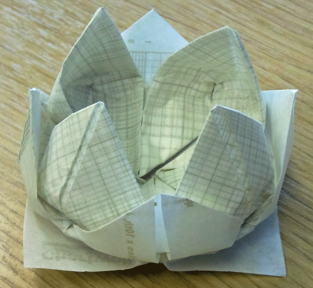 Lotus Origami Instructions