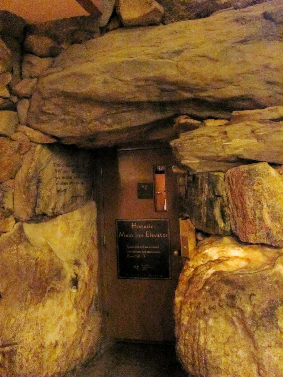 Cats of Wildcat Woods: A Pink Lady Ghost Story