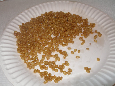 Self-Reliance by Jamie: Wheat 101: Wheat Nuts