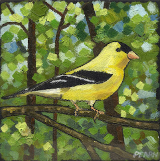 Oil Paintings by Barbara Pearn: Yellow Finch, Original Oil Painting 6x6 ...