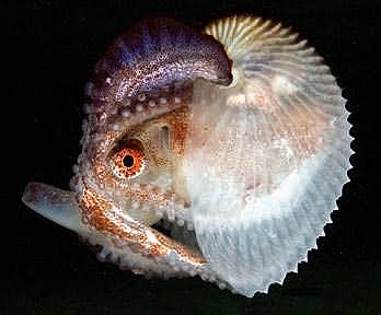 ARQUIMEDES EN LA TINA: 05/27/10