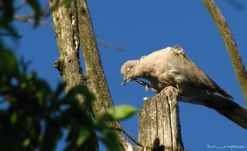 (c)Photography beyond words,poze,fotografii,photo from Romania ...