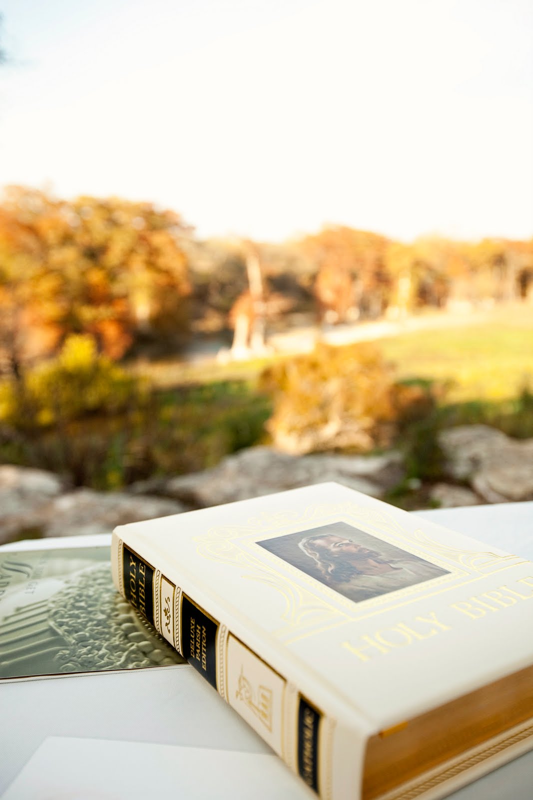 San Antonio Wedding and Event Consultants: Sandra and Jason Mucha ...