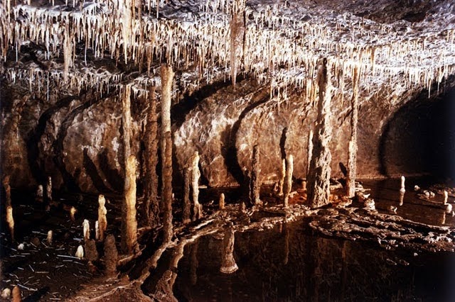 The mystery in the Lost World of Movile Cave | Elixir Of Knowledge