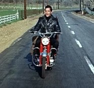 MOTORCYCHO: Elvis - 'Roustabout'