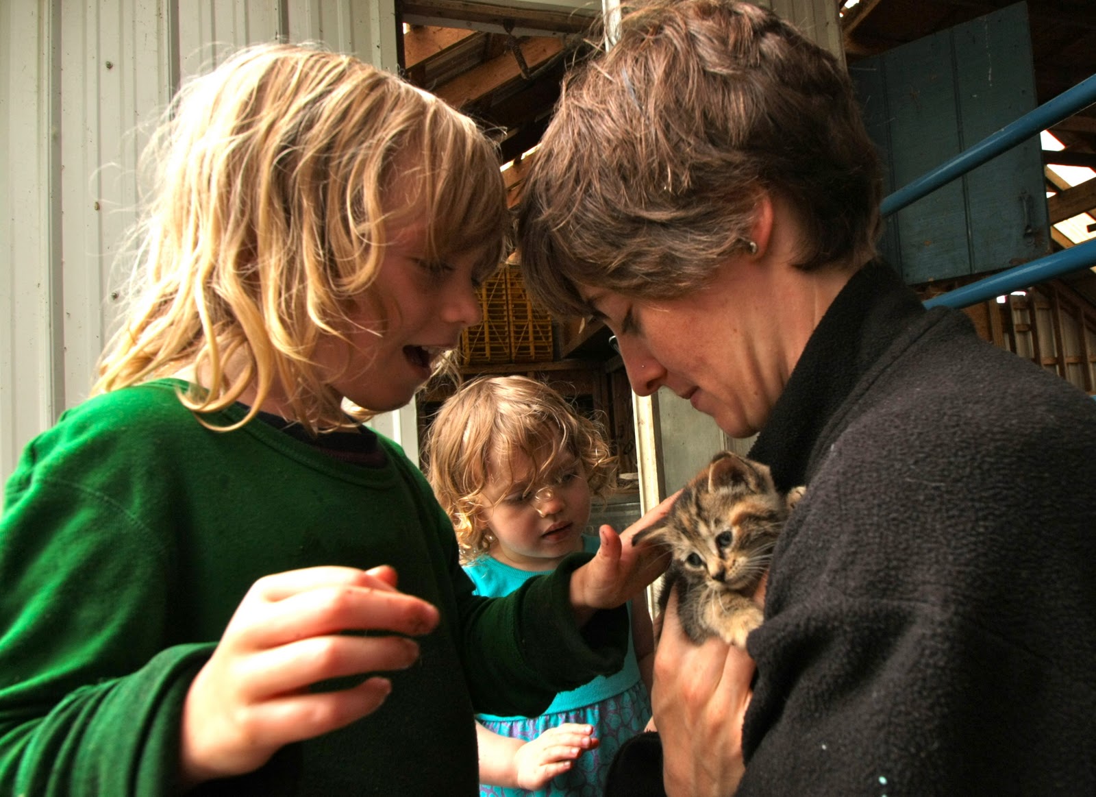 The Farm Stay Project: Berry Fields Farm: Our Family Farm Vacation