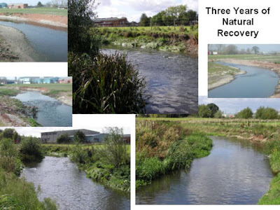 DESIGN WITH NATURE: Case Study of River Restoration