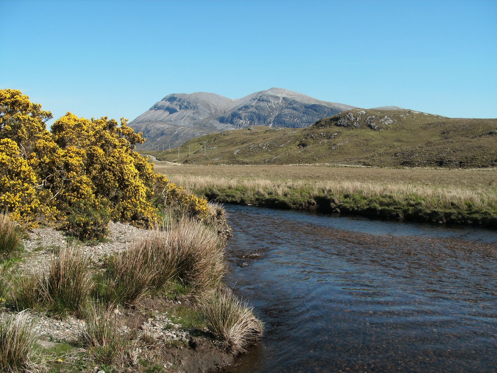 Walk and Hike in Scotland: Arkle Sutherland North West Scotland