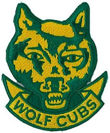 1st Lincoln Cubs
