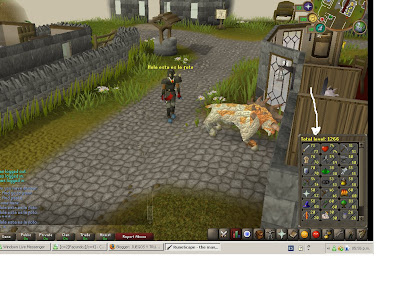 JUEGOS Y TRUCOS: Guia de RuneScape