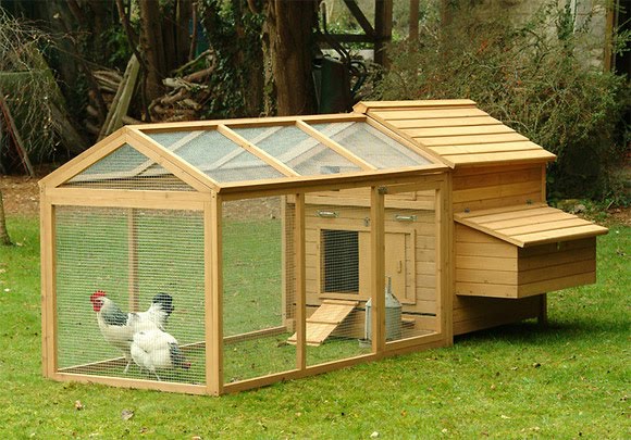 Content in a Cottage: An Elegant Home for Hens with Run
