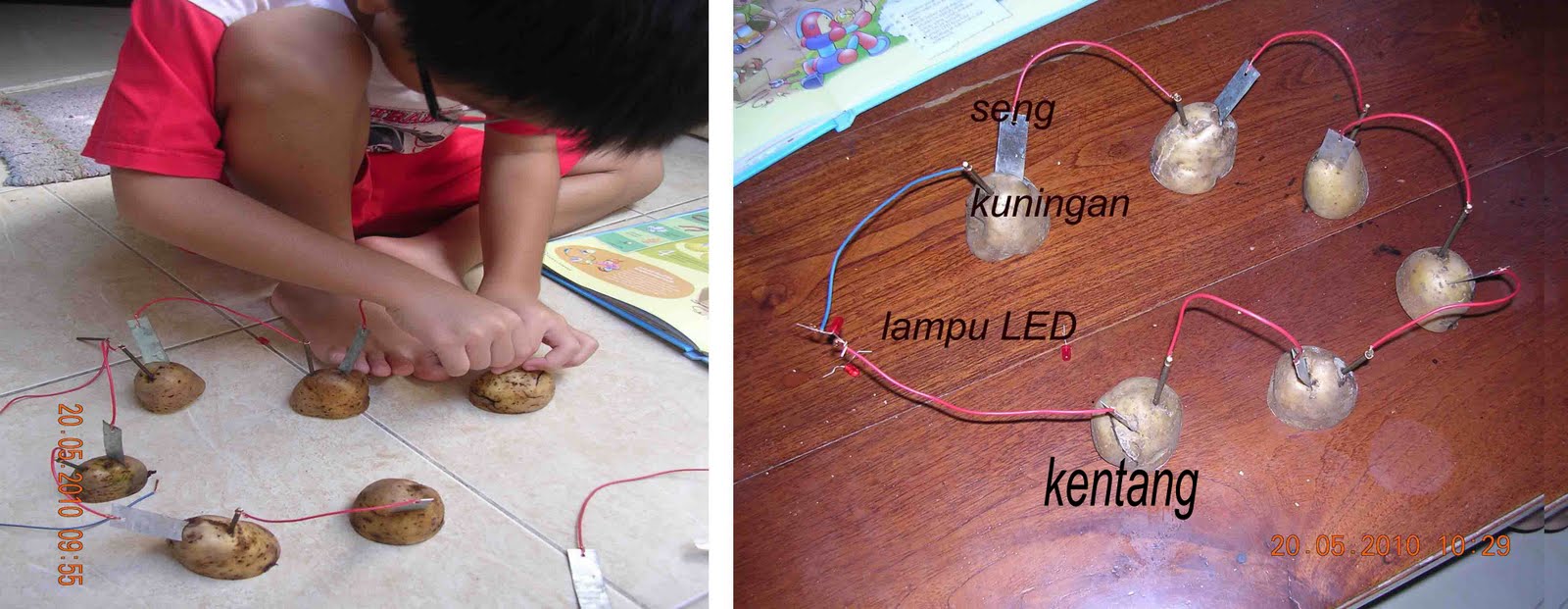 Abi and Mick's............: Kentang Listrik