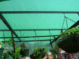 Jardinería e Imagen: Un Vivero Ecológico a Bajo Costo