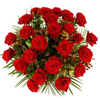 RAINBOW - The Colours of India: MY VERY FIRST GIVEAWAY