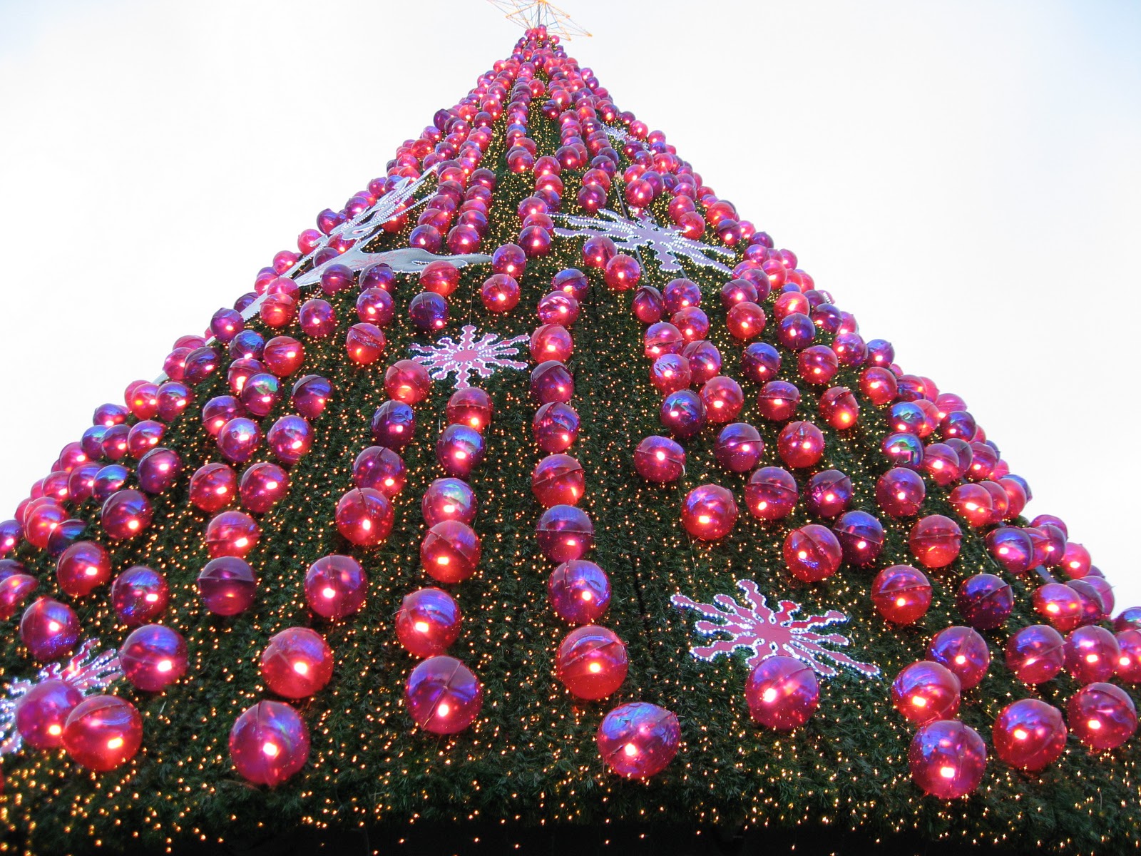 RAINBOW - The Colours of India: 2010