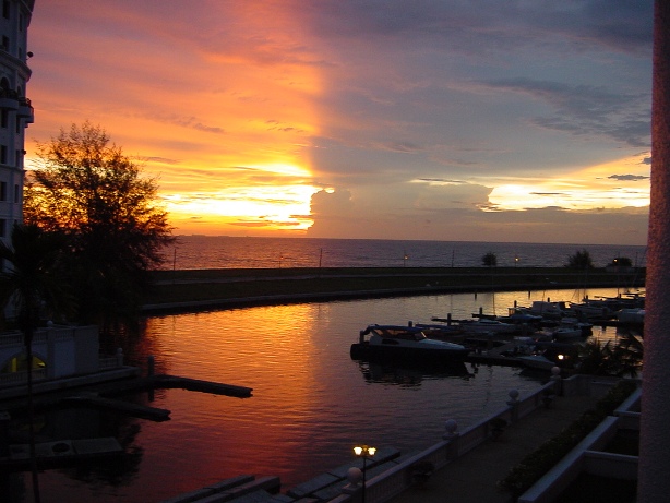 Paper Frills Handmade Cards