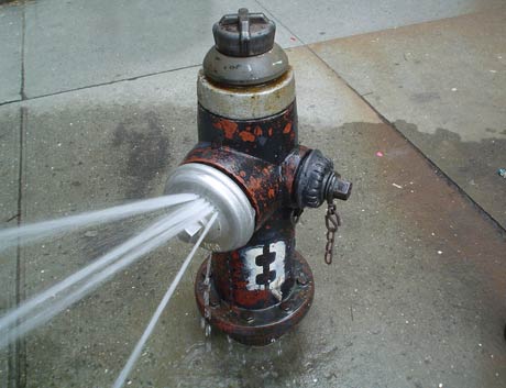 Perpetual Preparedness: Fire Hydrants