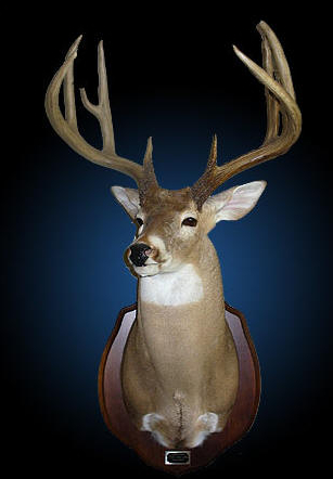 Hunting In Michigan: Trophy Deer Hunting Secrets