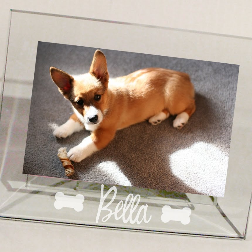 LuckyPups Blog: Personalized Dog Frames