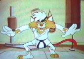 Karate Kat. ~ ANIMACIONBETA