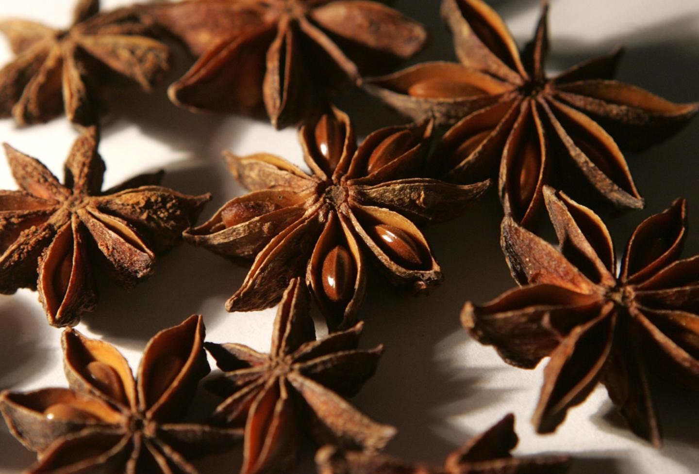 Sabores Especiales: Anís Verde y Anís Estrellado