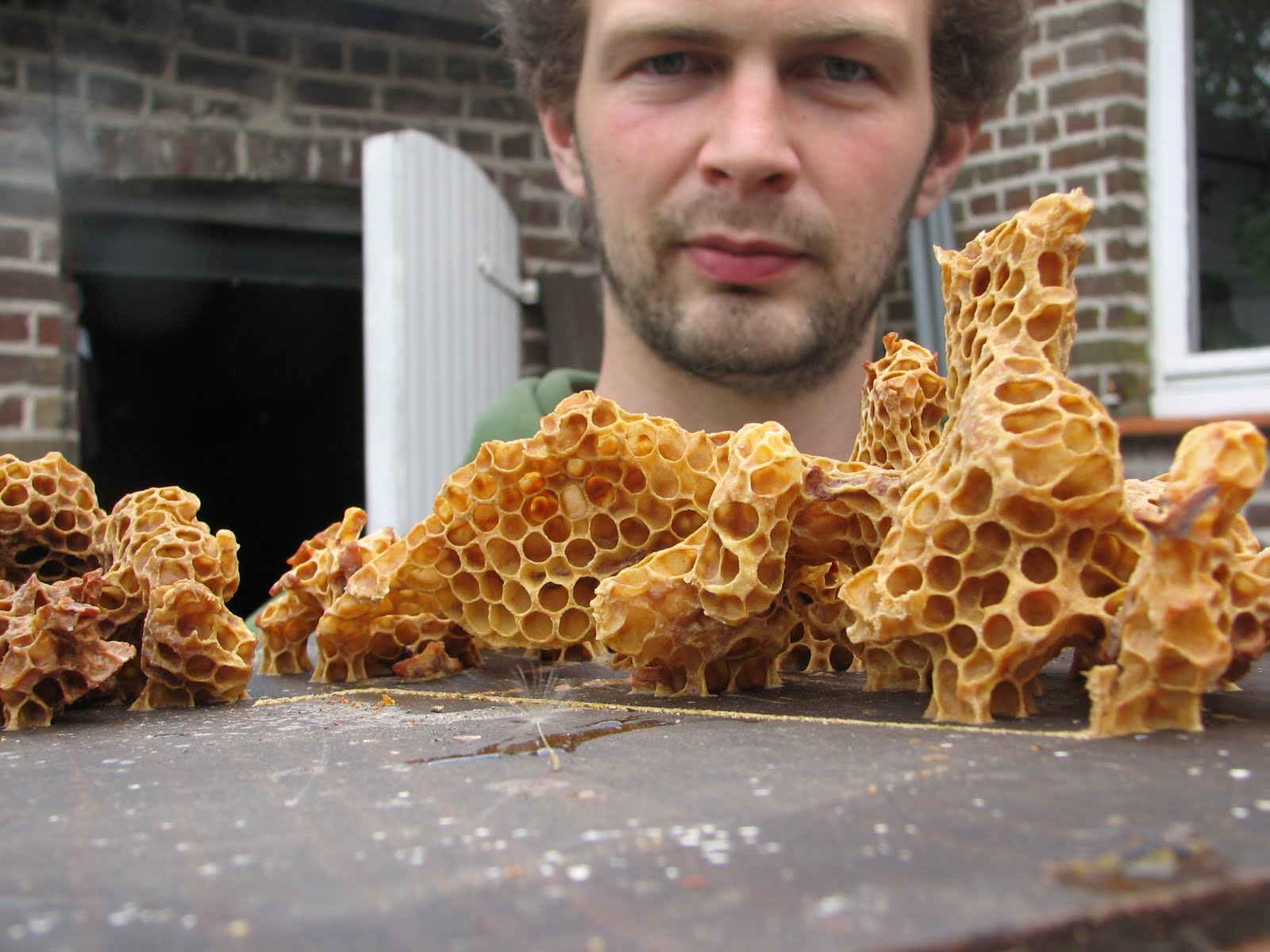 Cie de Knor & de Bie: freggel-grot