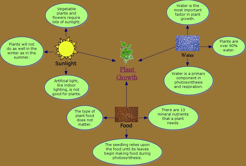 My Journey from Novice to Expert With Technology