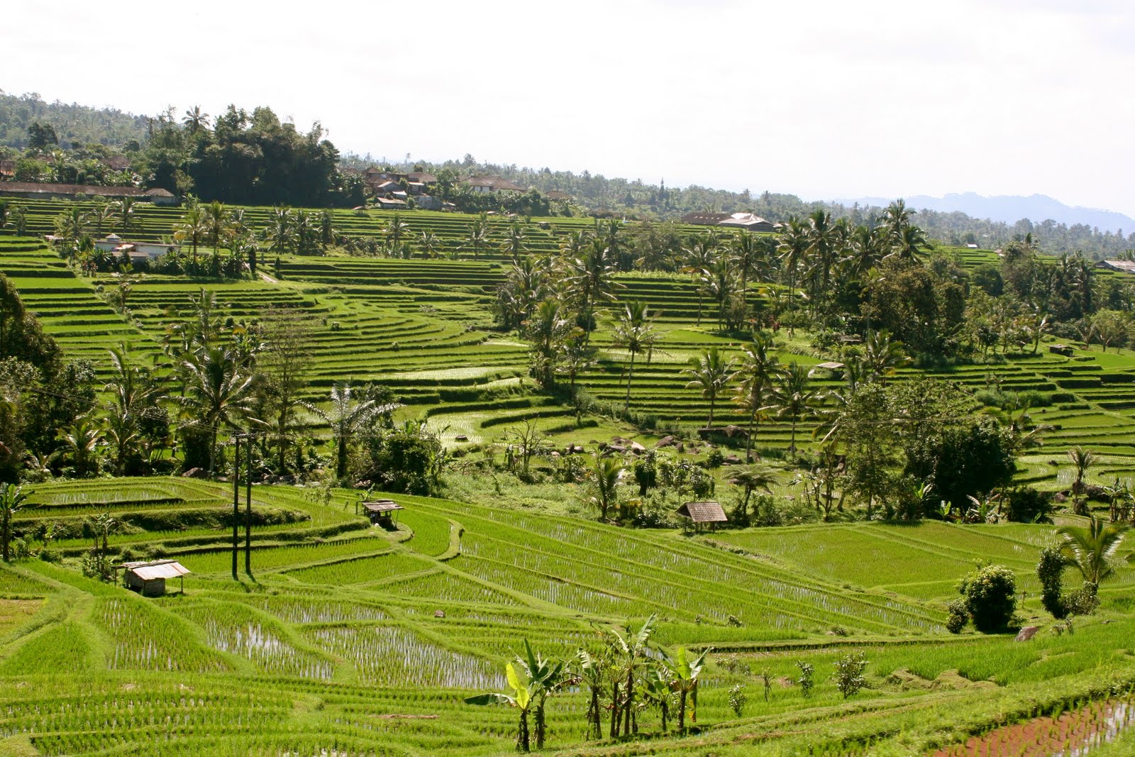 How 'bout them views: Ubud, Bali