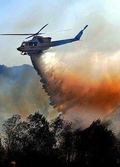 HISTORY IN IMAGES: Pictures Of War, History , WW2: AMAZING! The ...