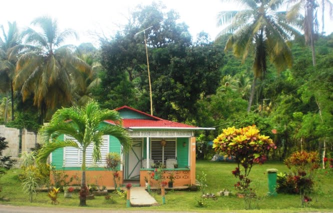 Los Colores Del Campo Dominicano - Corozallive.com