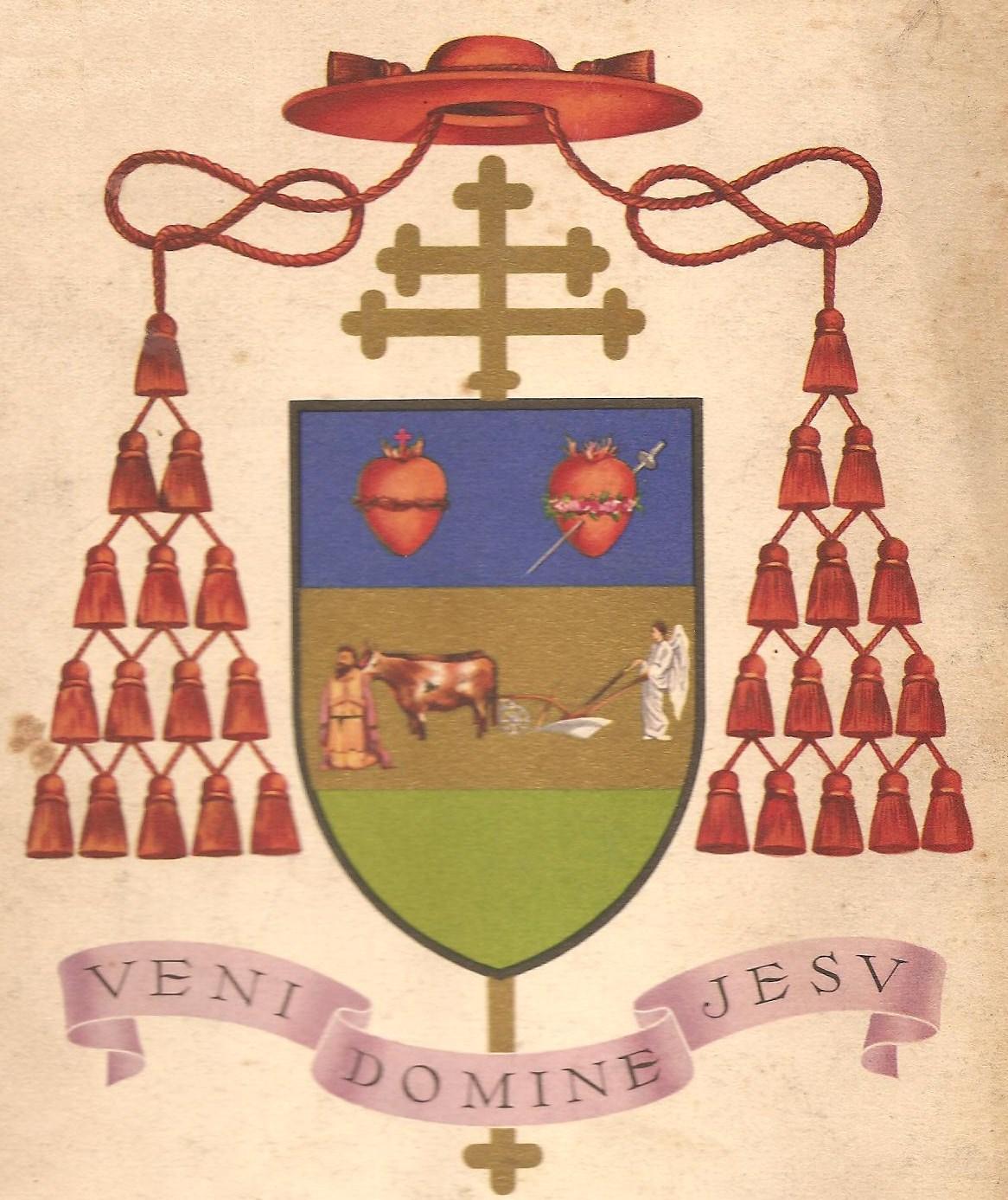 Heráldica en la Argentina: Escudo del cardenal Santiago Luis Copello