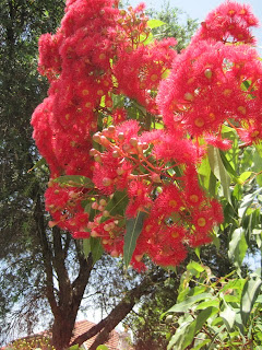 :: Waste Not Do Want: January 2010