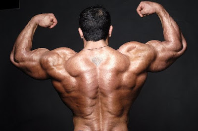 Muscle Lover: Italian bodybuilder Constantino Galeazzo