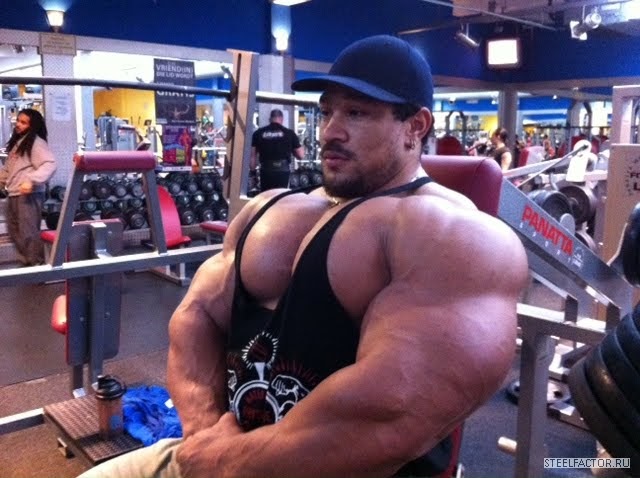 Muscle Male Model *: January muscle mix