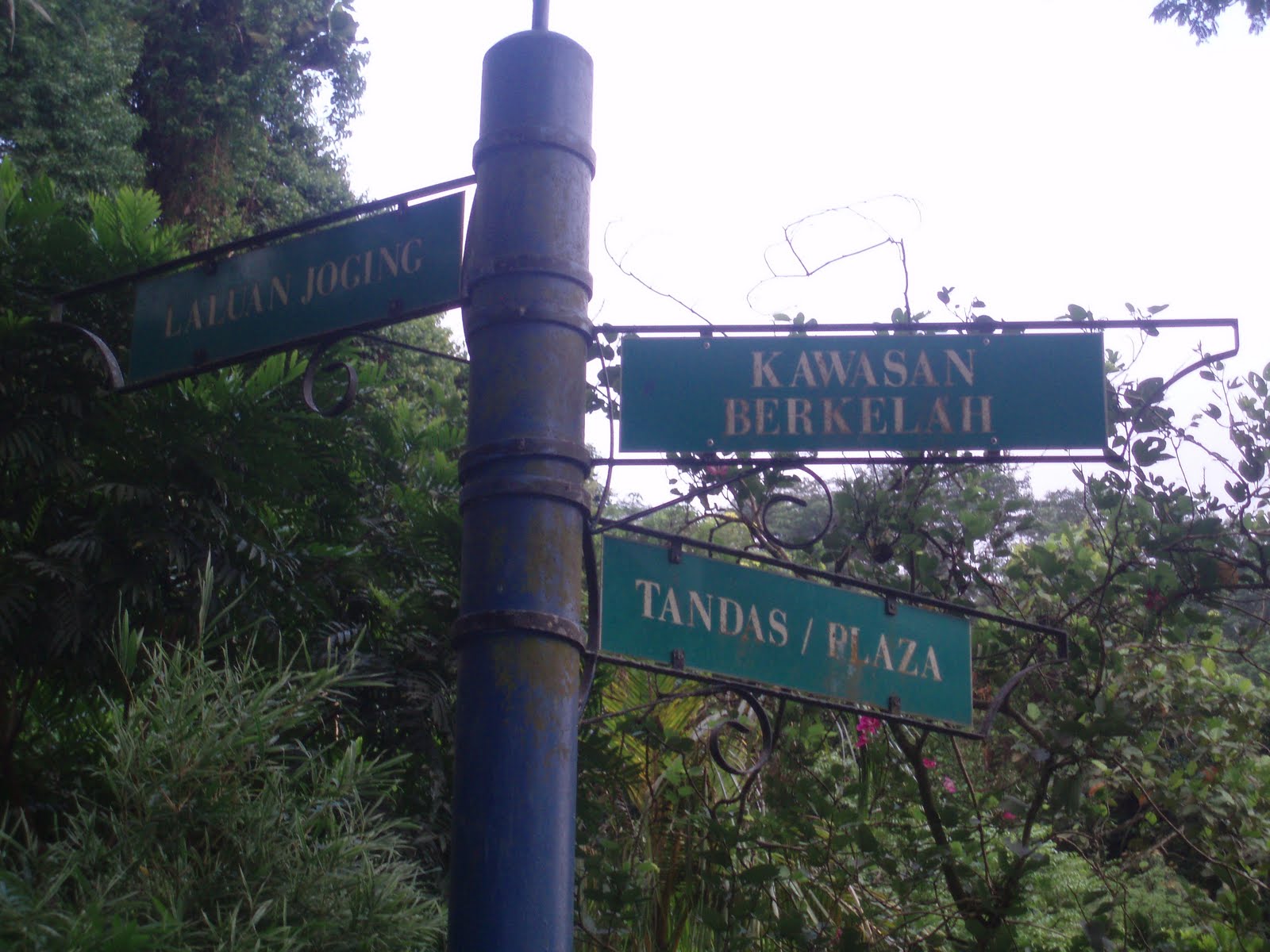 Inspired Momx1: TTDI Park (Taman Rimba Kiara Park)