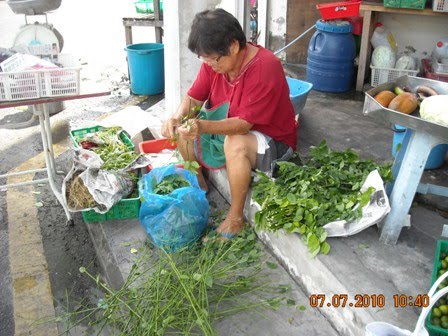 Sarawakiana@2: De-leafing of Cangkok Manis