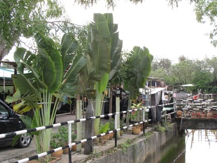 Sarawakiana@2: Kampong Wireless - Embun Citra Cake House