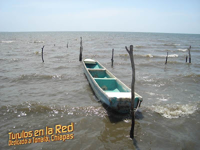 Turulos en la Red. Dedicado a Tonalá, Chiapas. Puerto Arista. Paredón ...
