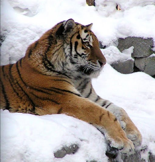 Our World: * Primorye Territory