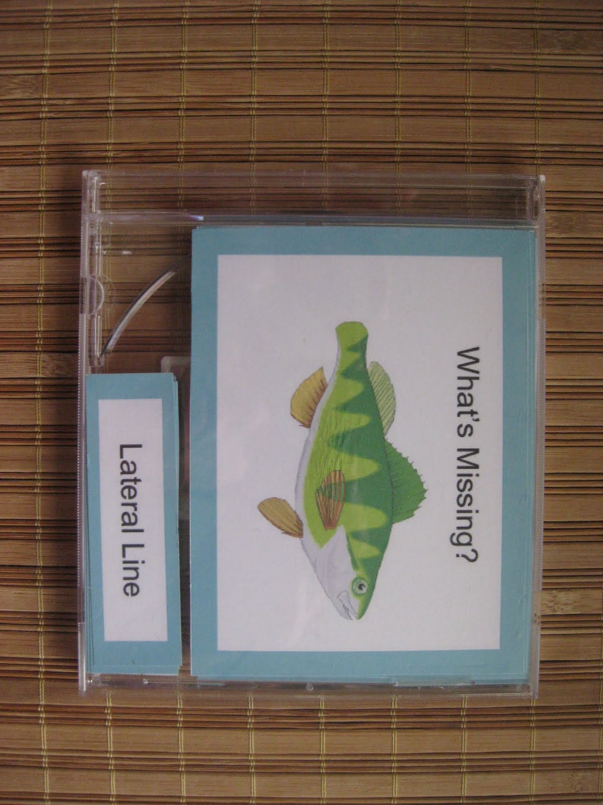 2 Pequeños Traviesos: Estudio del PEZ / FISH Study (Parte II / Part II)