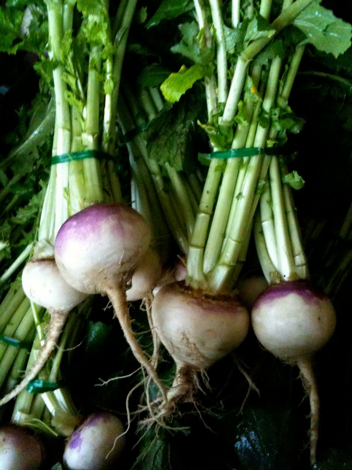 Silver Lake Farms: Pan-Fried Turnips