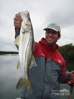 Pesca Esportiva, Biologia, Ecologia e Conservação : Robalo ...